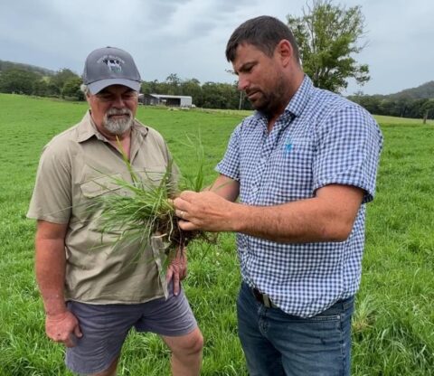 Tim Bale case study - Dairy UP